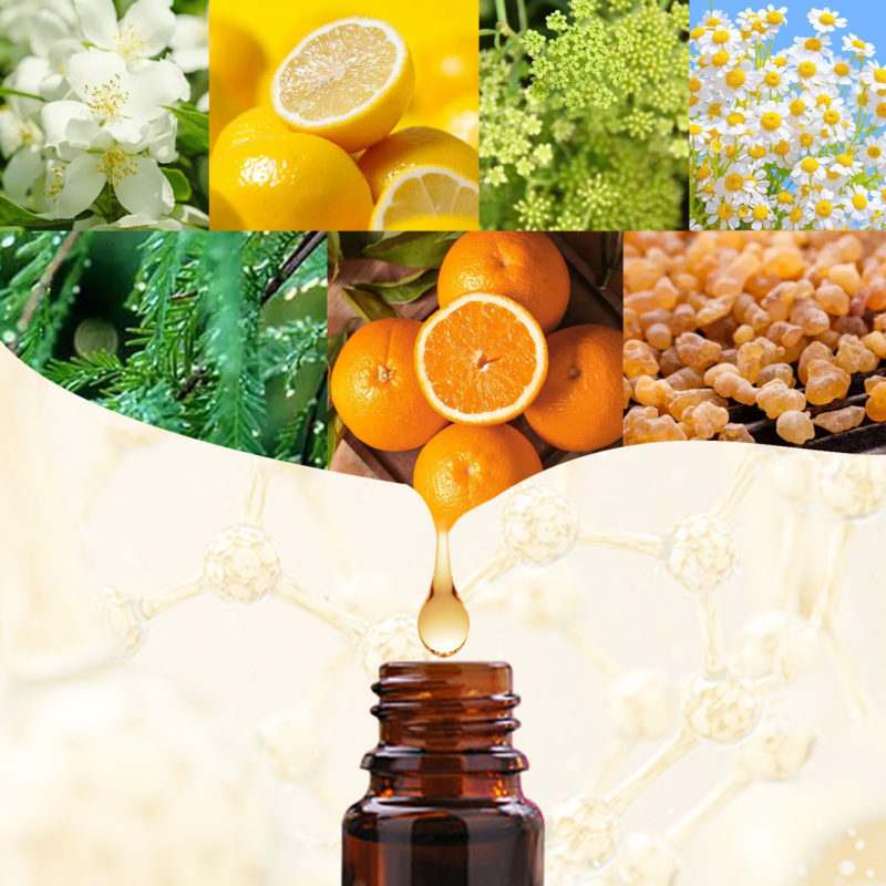 The Difference Between Single Essential Oils, Compound Essential Oils ...